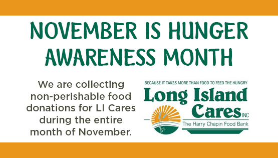 Elwood Public Library - long island cares