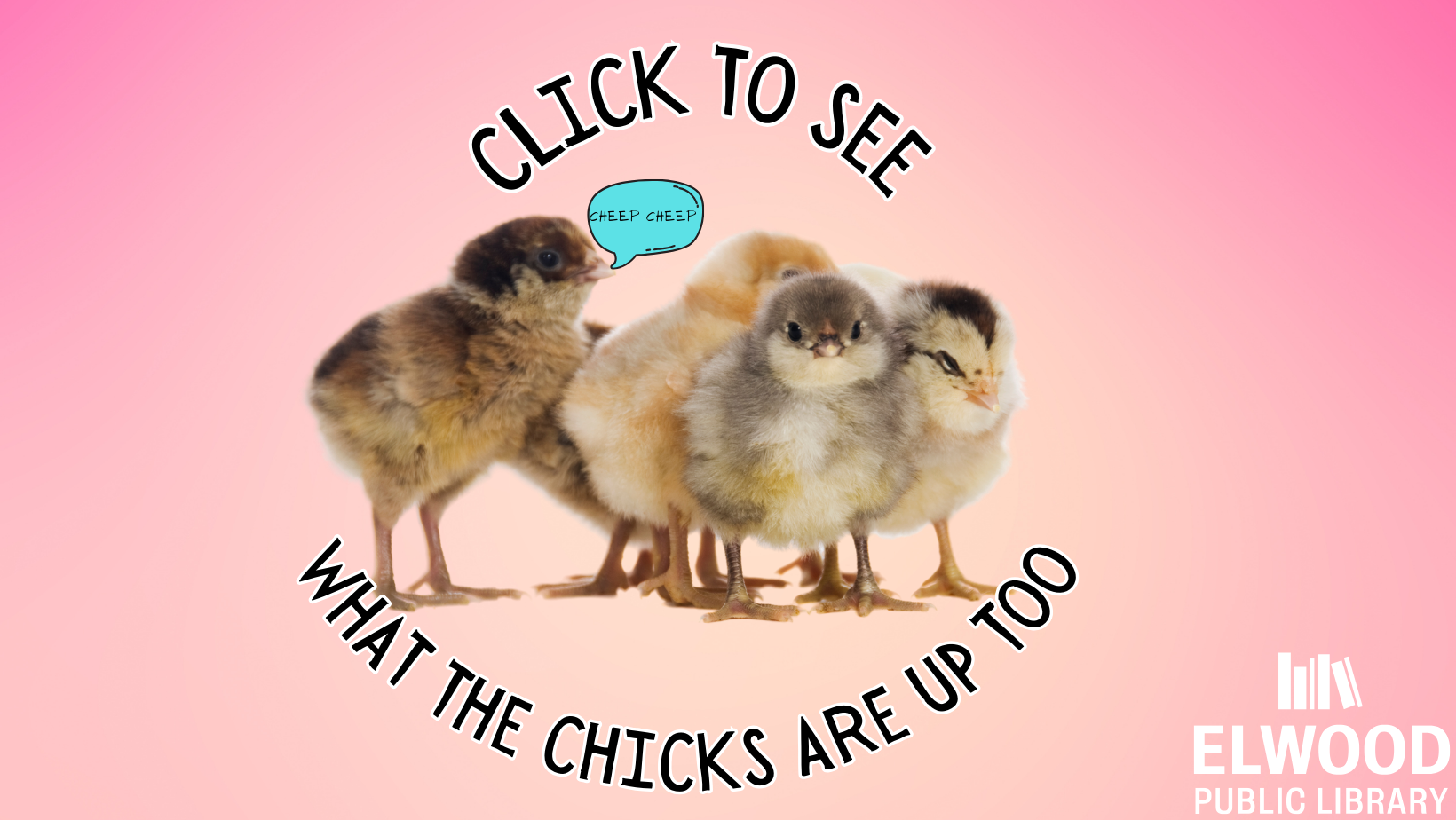 Elwood Public Library - _Baby Chicks 2025